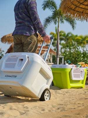 Icemaster - We make Crafting Iconic, Colorful Coolers for You – ICEMASTER